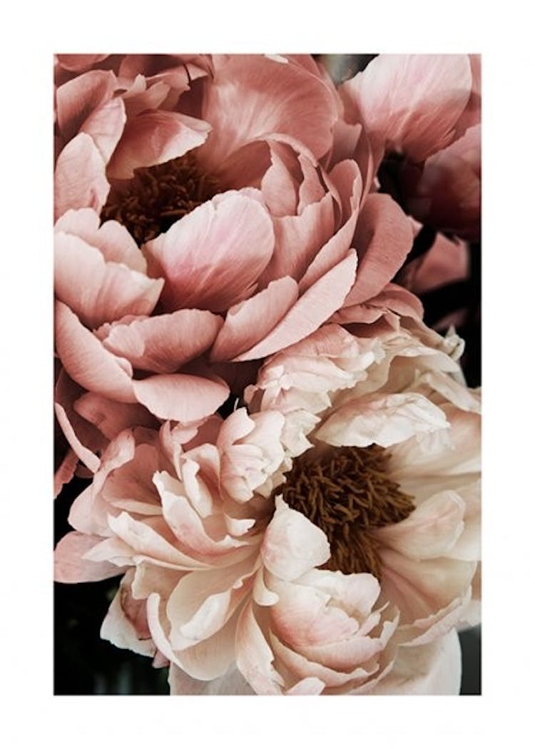 City Romance Collection Poster pack